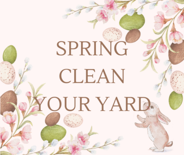 Spring Clean Your Yard - Taylor Homes